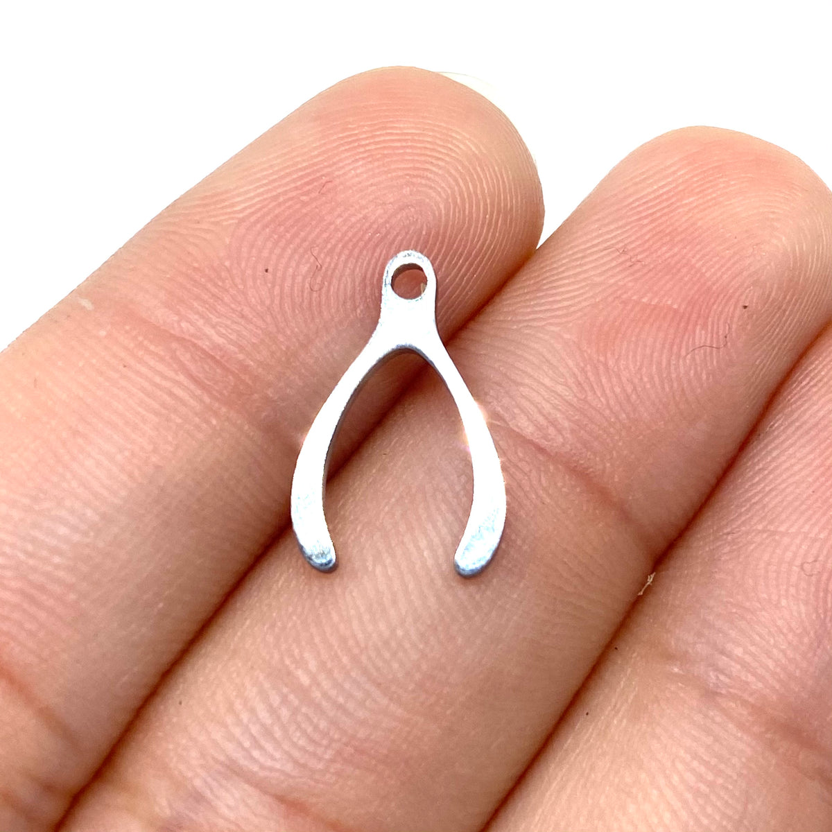 Stainless Steel Wishbone – By The Picket Fence